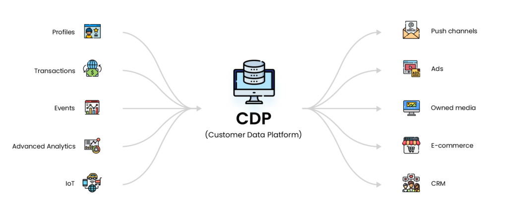 Customer Data Platform (CDP) Services